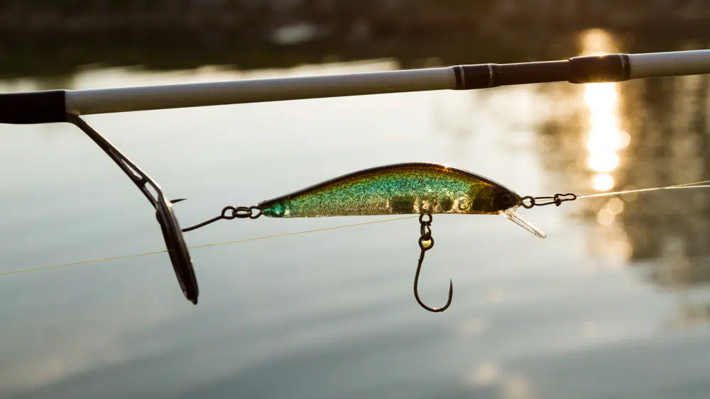 Erfolgreich auf Döbel mit der Three Shot Minnow - ANGEL-KNIFFE