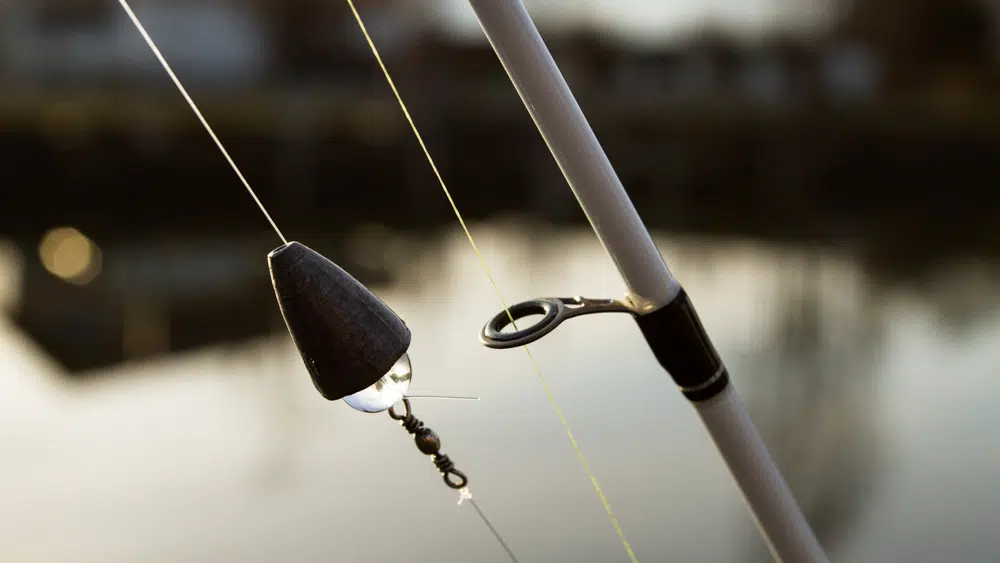 Das Carolina Rig - ANGEL-KNIFFE