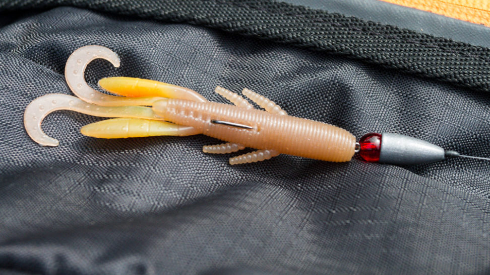 Das Florida Rig | Barsch, Finesse & Ultra Light